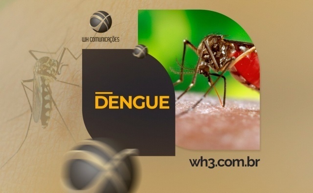 Sc Tem 334 Mortes Por Dengue E Número De Casos Prováveis é 148 Maior